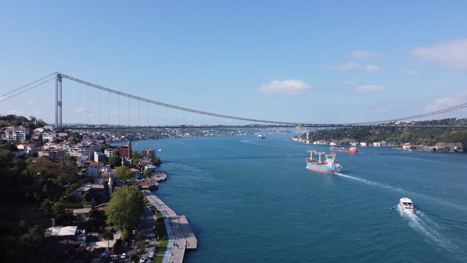 Look for the seagulls trailing the boats, because they mean the crew is tossing simit pieces, which is a local tradition