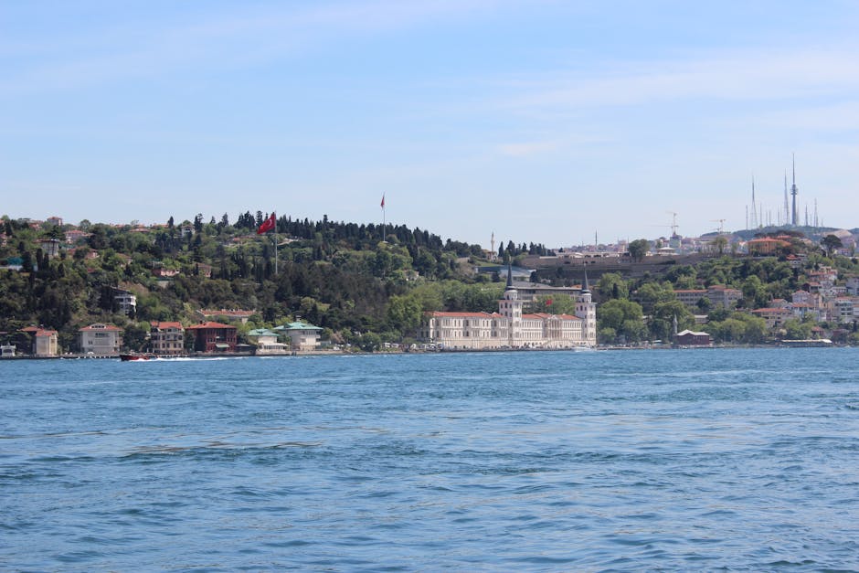 Public ferries are cheaper and run on the same route, so do not feel you have to book a premium cruise to see this view.