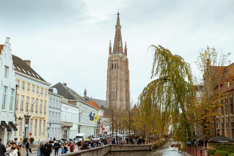 Swans on the Bruges canals