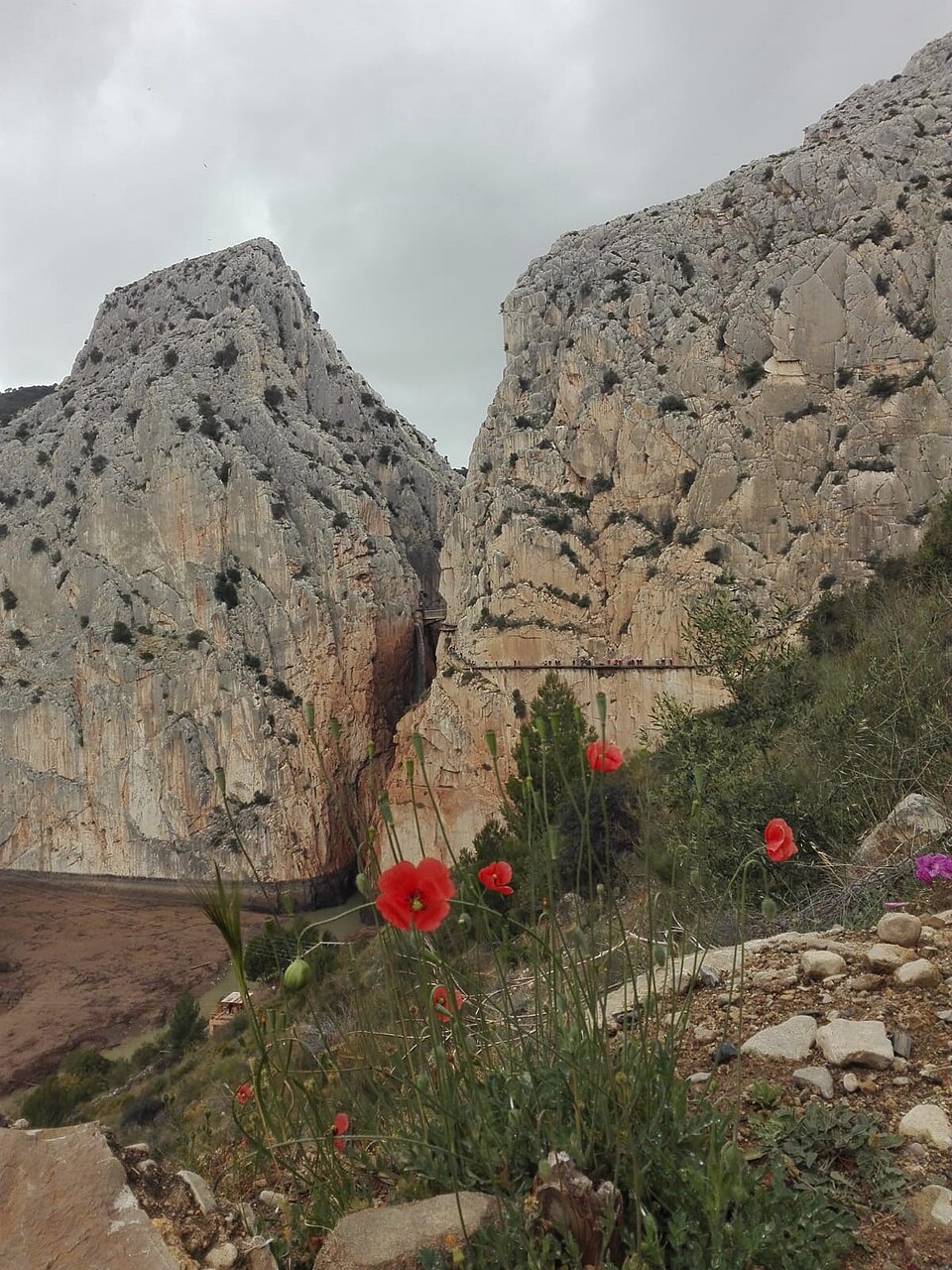 View of Caminito del Rey from the southern exit showing the boardwalk along the cliff face