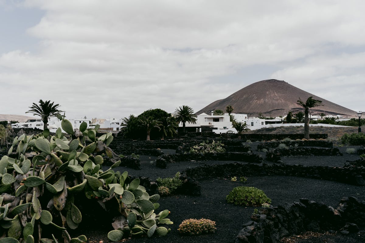 Village with volcanic landscape and lush green plants in the Canary Islands
