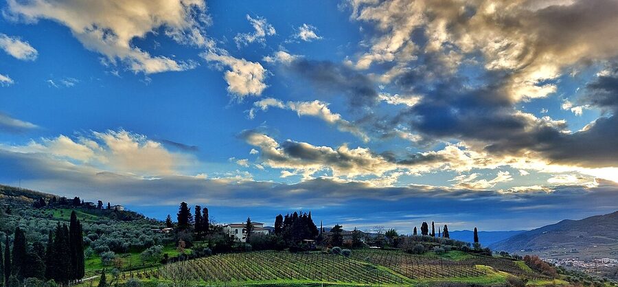 Rolling green hills of the Chianti region in Tuscany with vineyards and olive groves