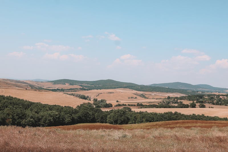 Panoramic view of rolling green hills and golden fields under bright blue sky near Florence
