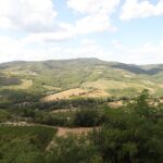 Aerial view of Tuscan vineyards and rolling green hills under blue sky