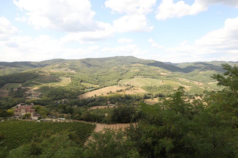 Aerial view of Tuscan vineyards and rolling green hills under blue sky