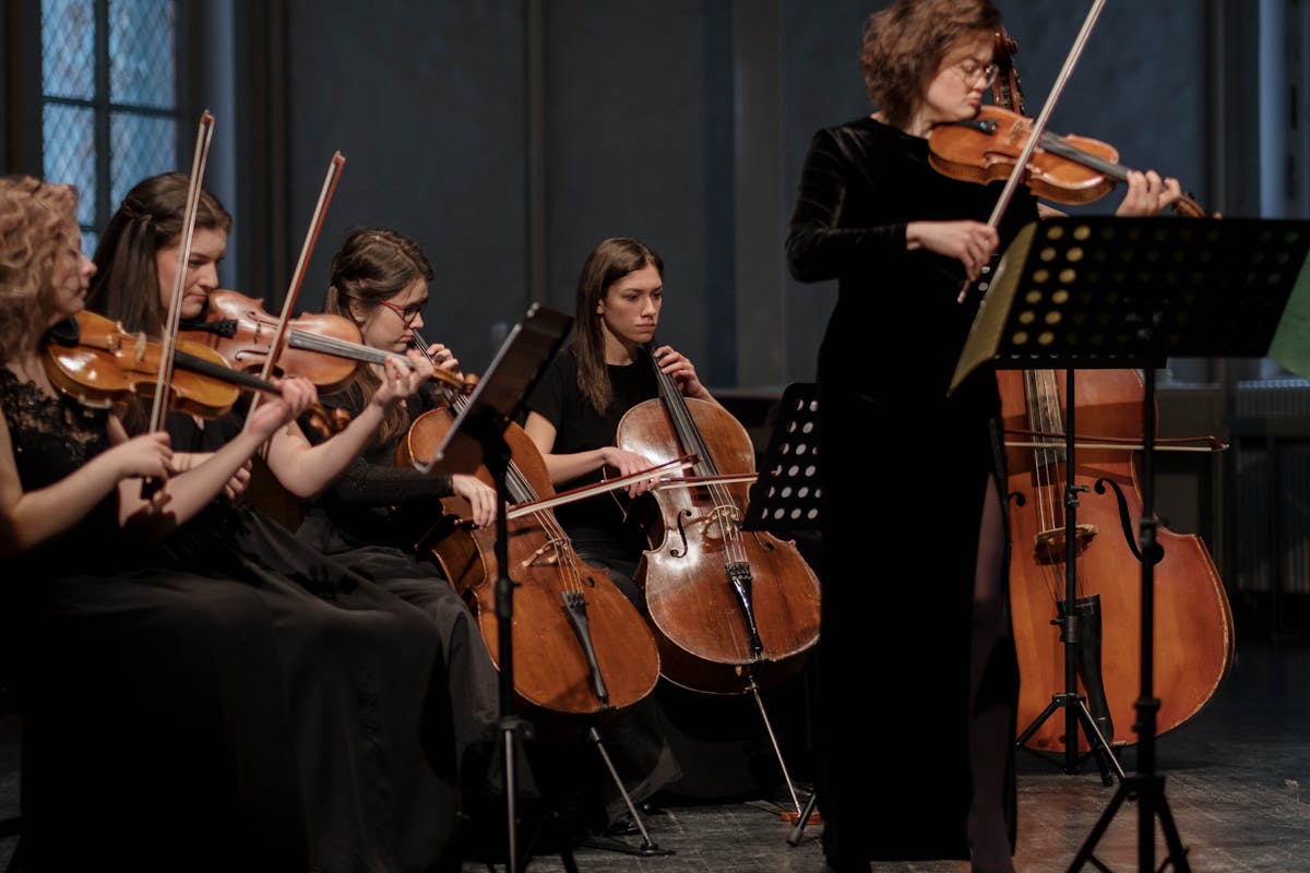 Classical string quartet musicians performing with violins and cello