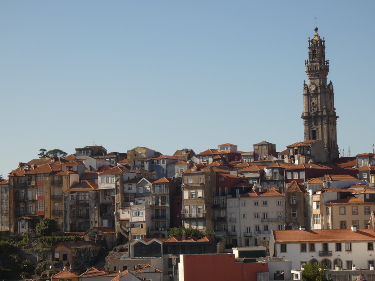 Stunning view of Porto historic architecture featuring the iconic Clerigos Tower