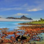 Coastal landscape in Nordland with mountains and ocean