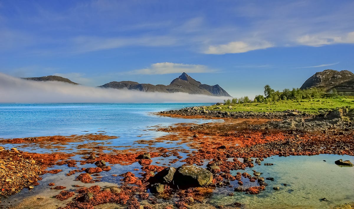 Coastal landscape in Nordland with mountains and ocean