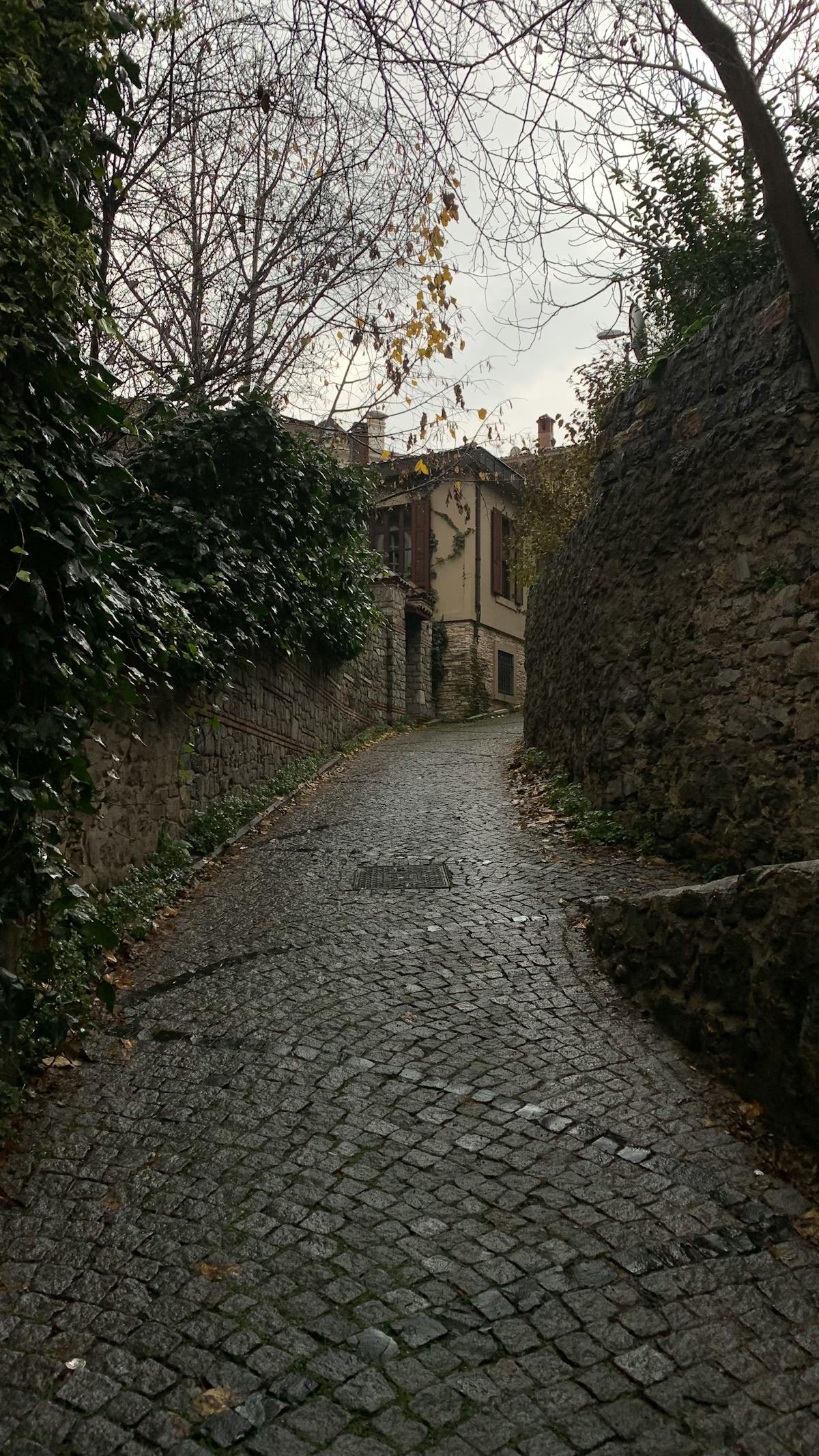 Narrow cobblestone alley with stone walls and colorful autumn leaves overhead
