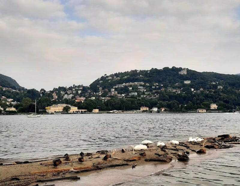 Hillside villas and colorful buildings along the shore of Lake Como Italy