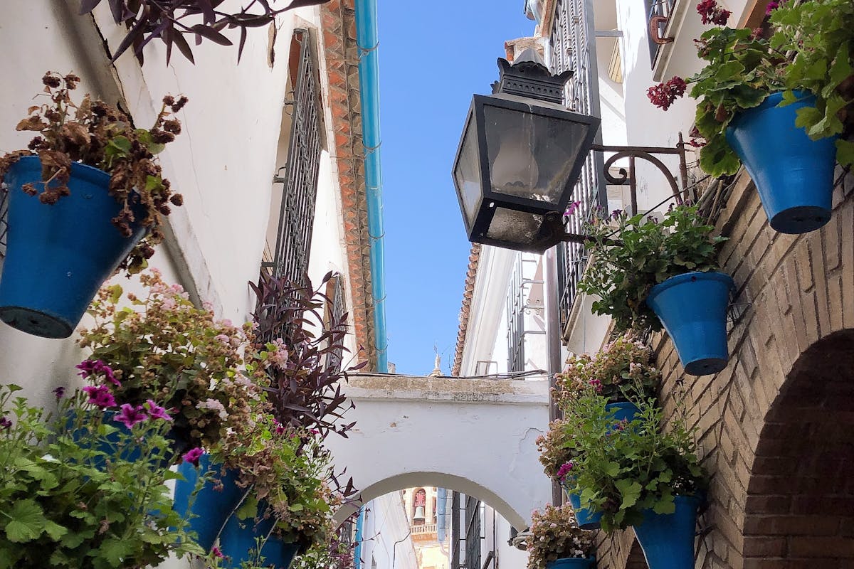 A colorful alleyway lined with blue flower pots in Cordoba