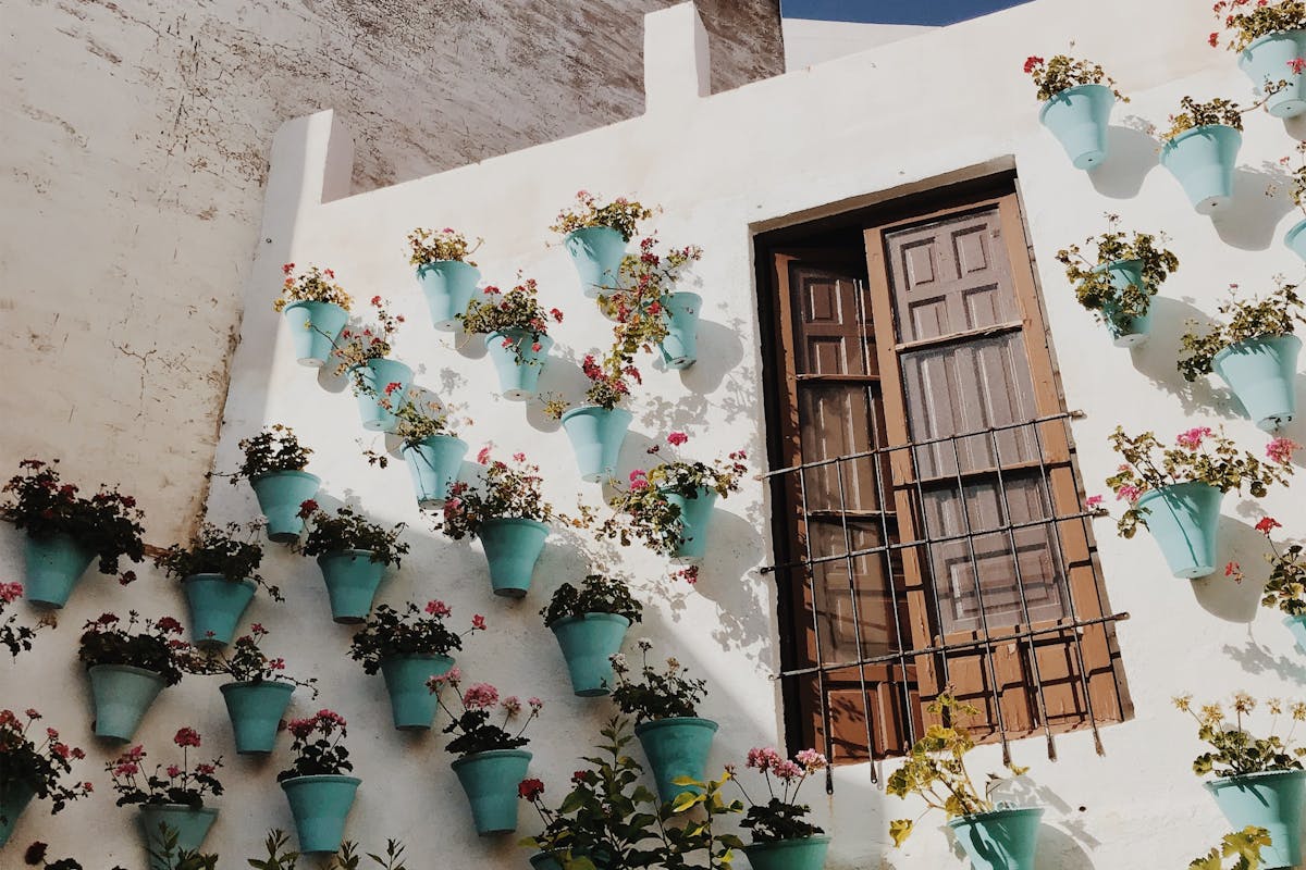 An Andalusian courtyard wall covered in colorful potted flowers