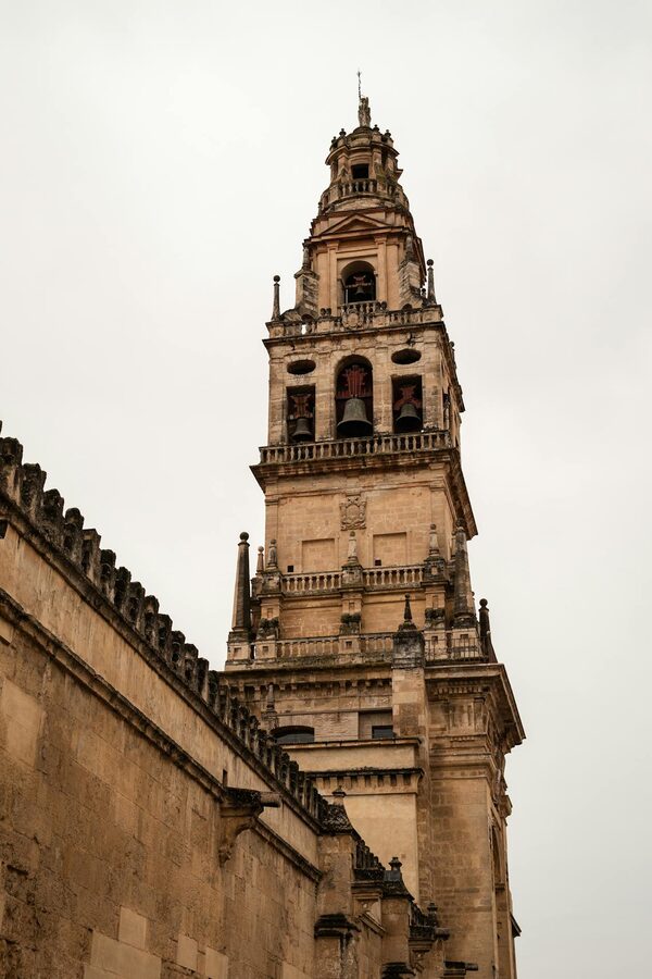 The baroque bell tower of Cordoba Cathedral rising above palm trees