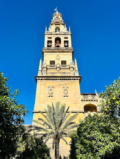 Cordoba cathedral bell tower rising above palm trees against blue sky