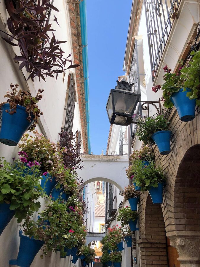 A narrow alley in Cordoba with blue flower pots hanging on white walls