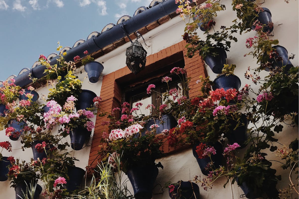 Decorative flower pots adorning an exterior wall in Cordoba