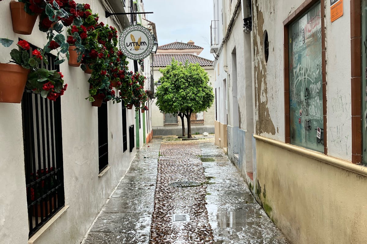 A narrow street in Cordoba adorned with flowers after rain