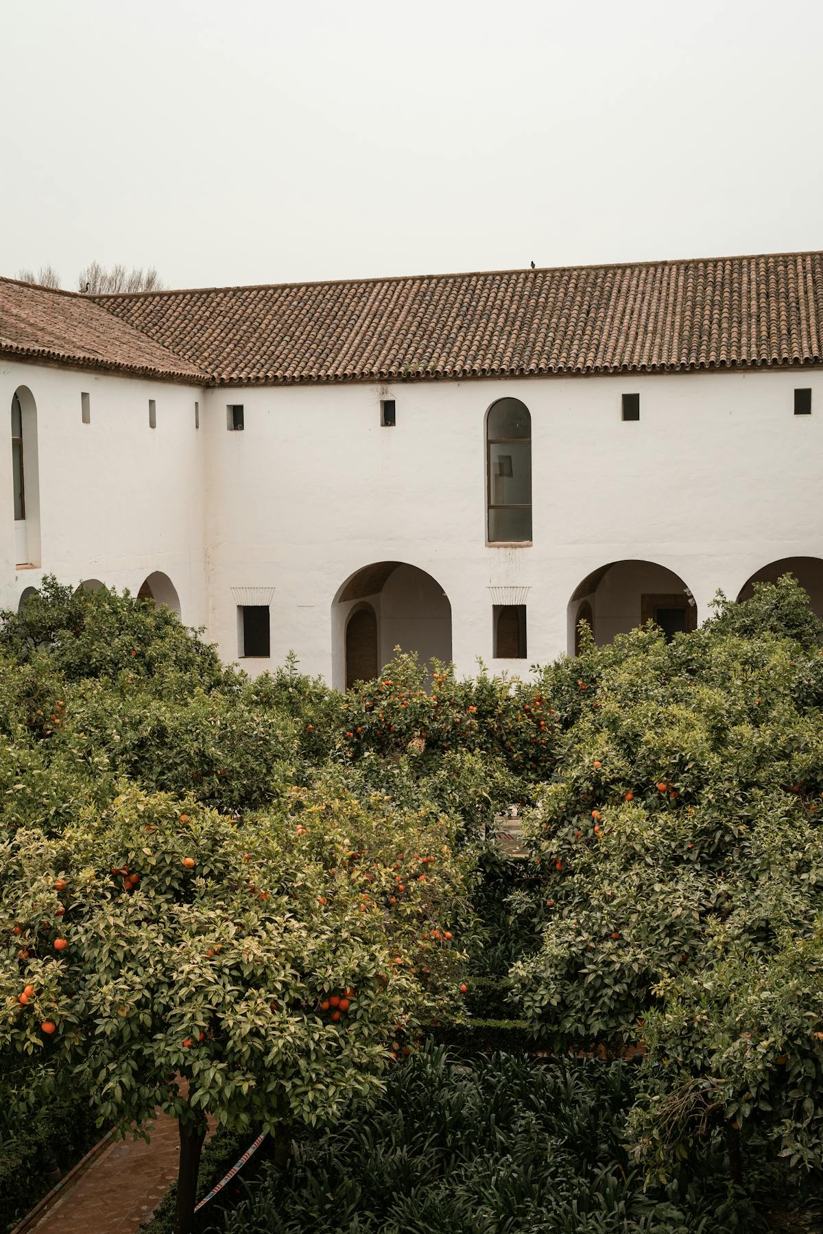 Courtyard with orange trees and historic architecture in Cordoba