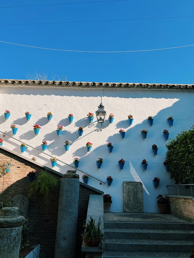 Traditional Cordoba courtyard wall decorated with colorful flower pots