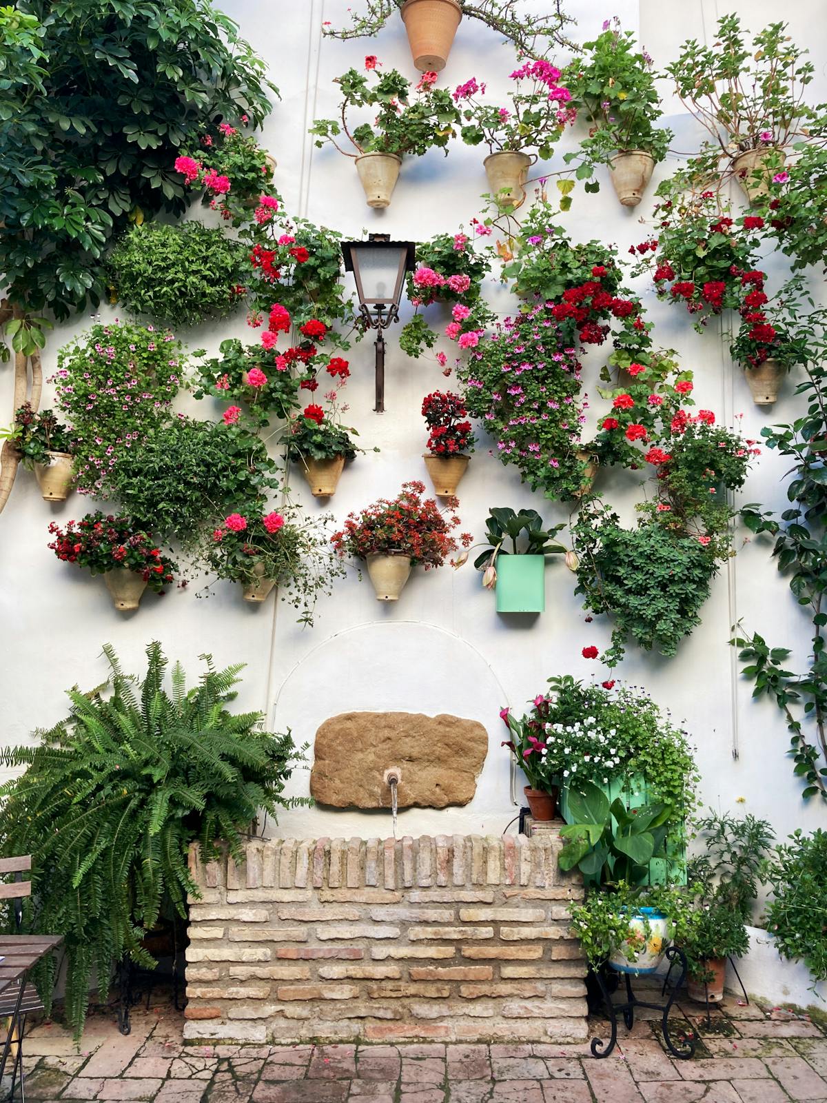 Vertical garden with colorful flowers on a Cordoba patio wall