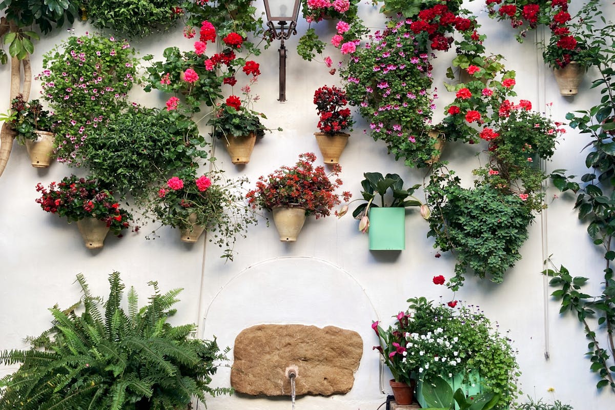 Flower pots lining a traditional Cordoba patio wall during summer