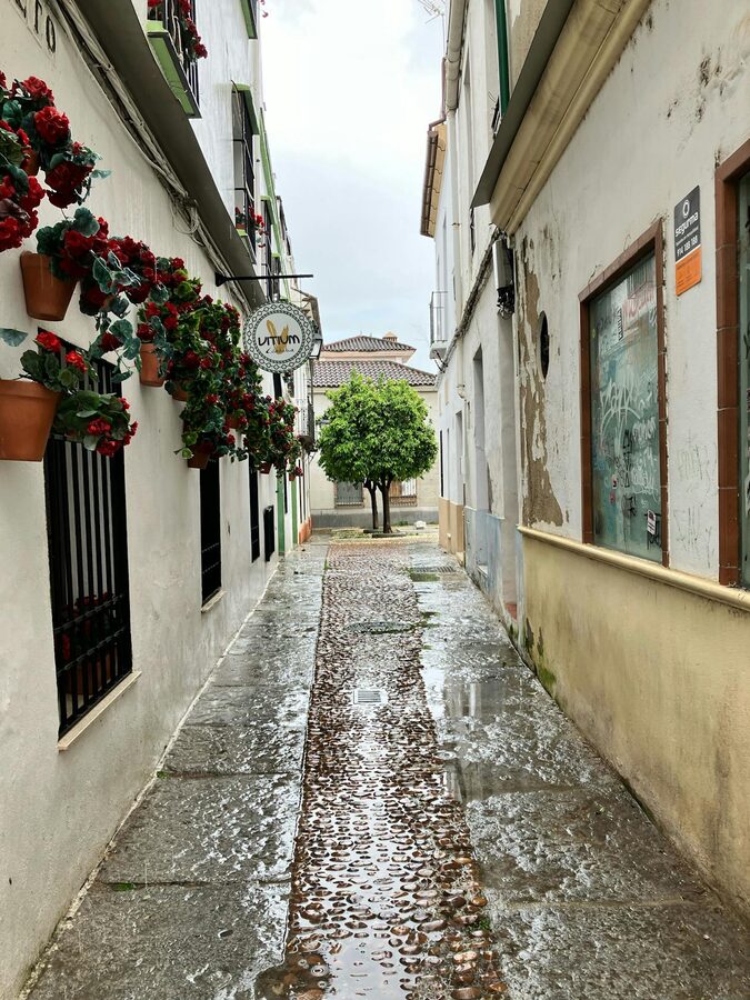 Narrow Cordoba street adorned with flowers after a rain shower