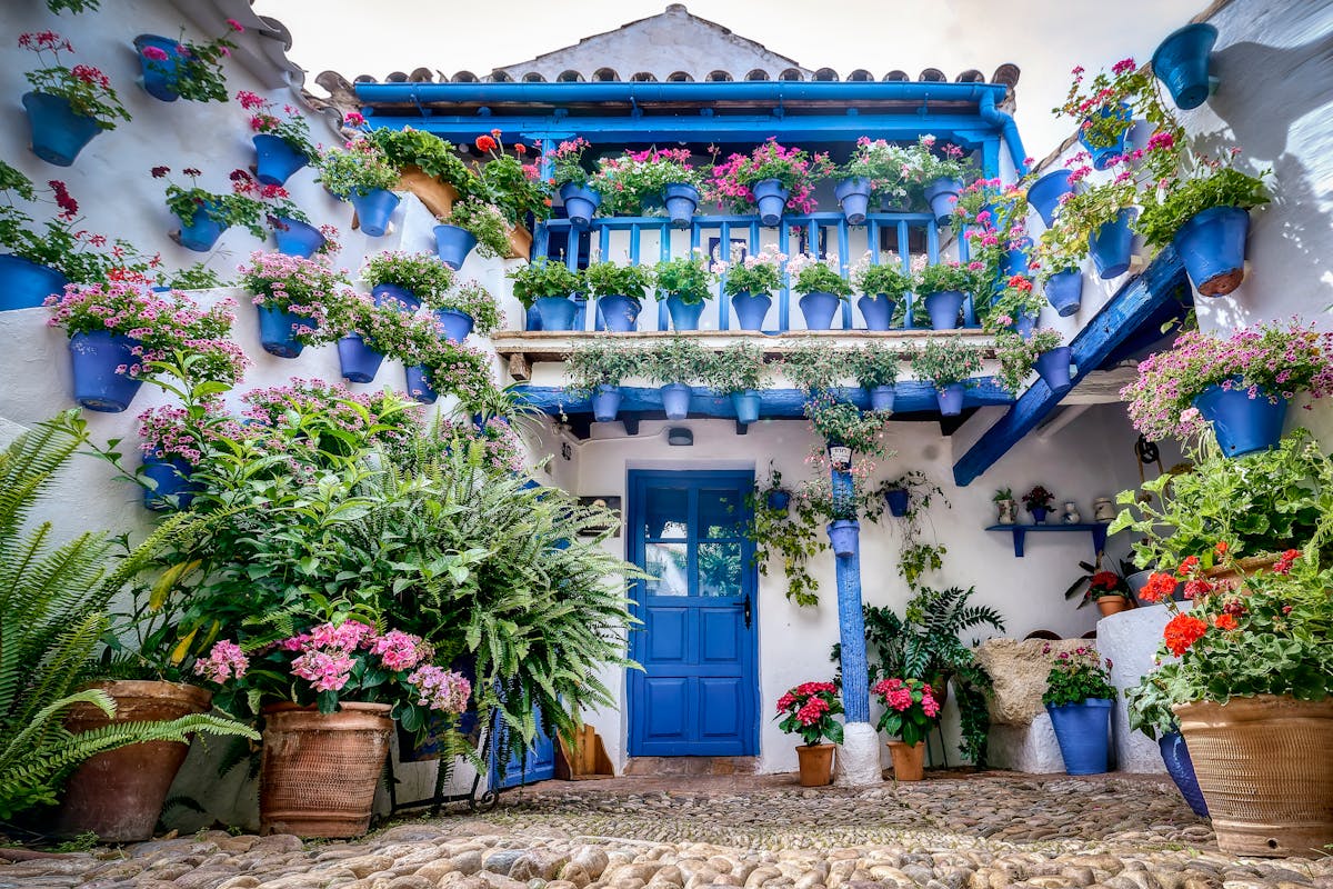 A traditional Cordoba patio filled with colorful flowers and plants