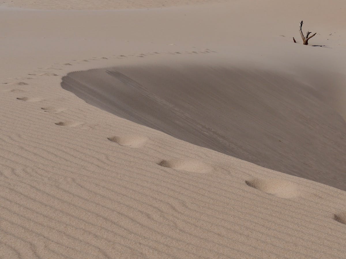 Endless sandy dunes with footprints at Corralejo Natural Park Fuerteventura