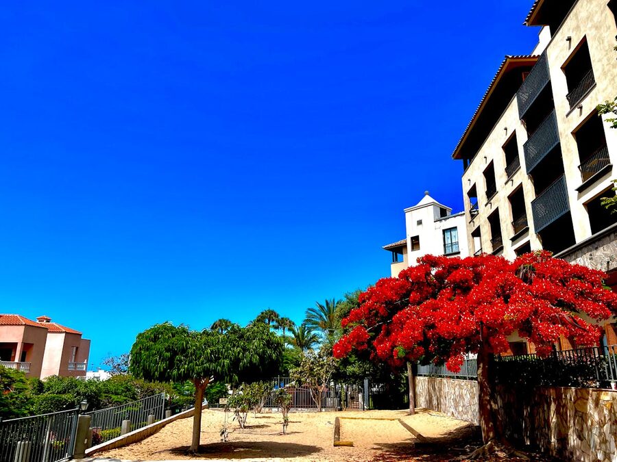 Lush trees and modern architecture in Costa Adeje on a bright summer day