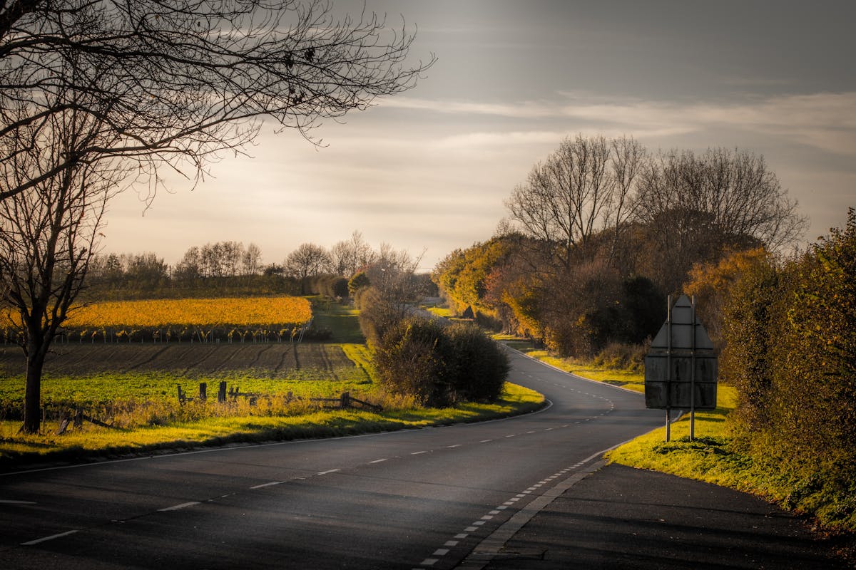Winding asphalt road through the English countryside with green hedgerows