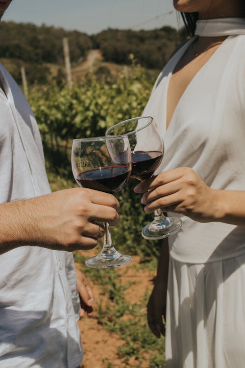 Couple toasting with red wine in a picturesque vineyard, symbolizing romance and celebration.