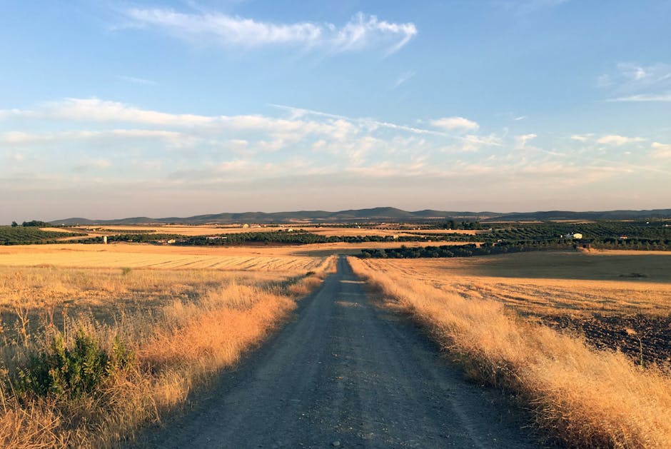 Dirt road stretching through Spanish wine country landscape