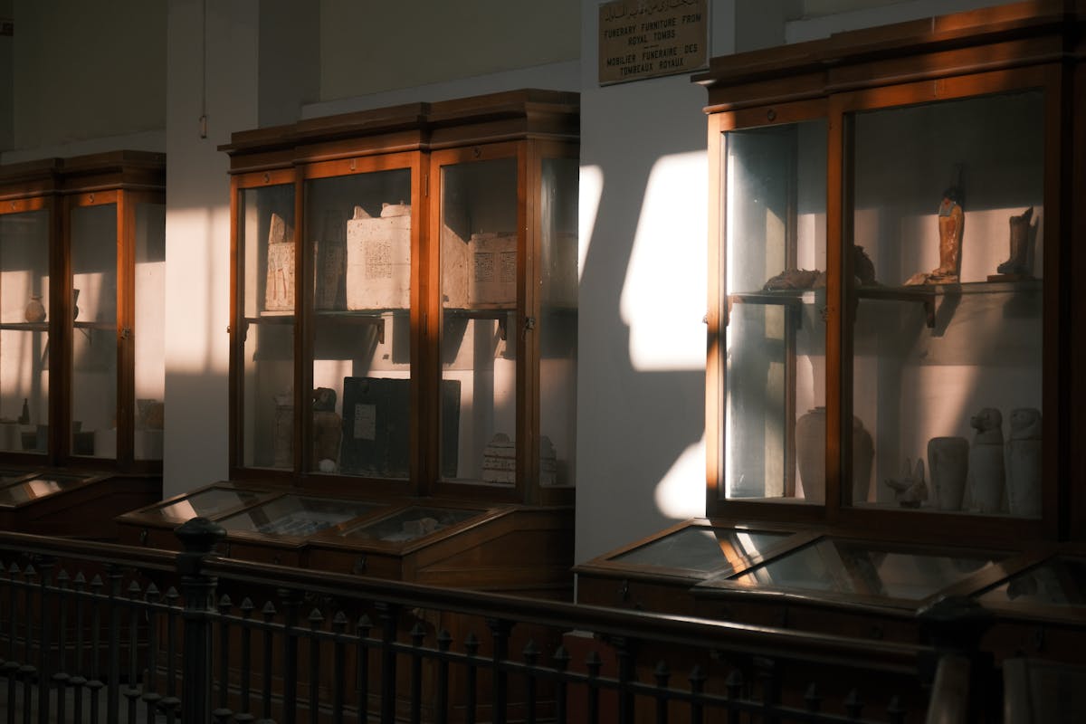 Ornate museum display cabinets illuminated by warm sunlight
