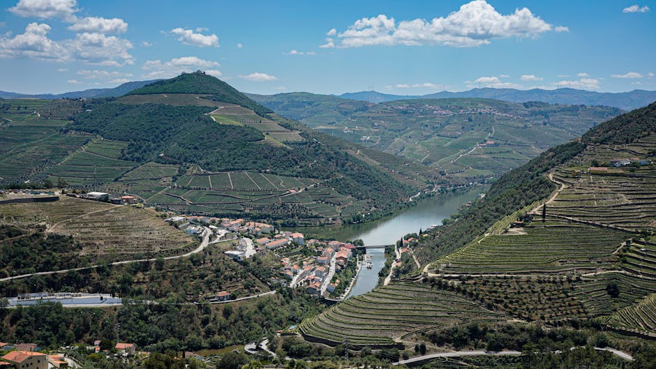 Aerial view of the Douro Valley wine region with river winding through terraced hills