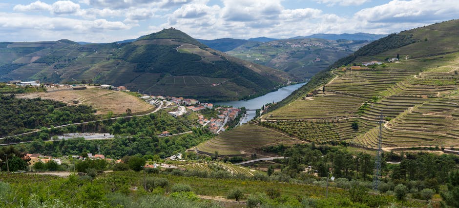 Panoramic view of Douro Valley terraced vineyards and river