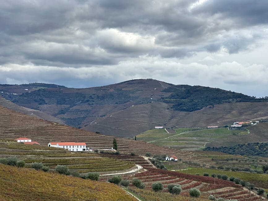 Expansive terraced vineyards in the Douro Valley under dramatic skies