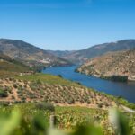 Terraced vineyards along the Douro River in northern Portugal