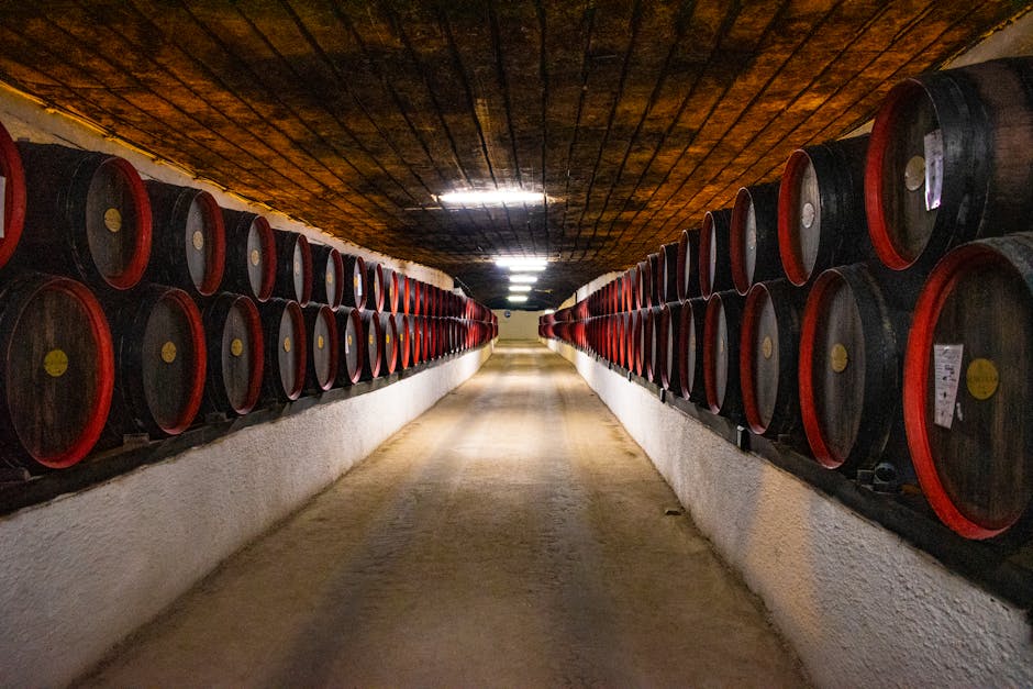 Rows of wooden barrels aging port wine in a cellar corridor