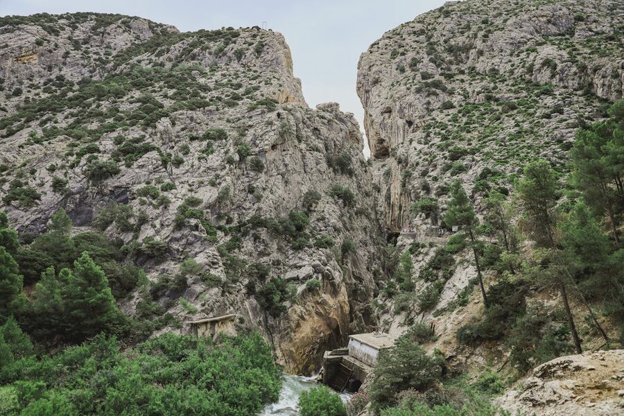 Dramatic cliffs and dense foliage in the Caminito del Rey gorge near Malaga Spain
