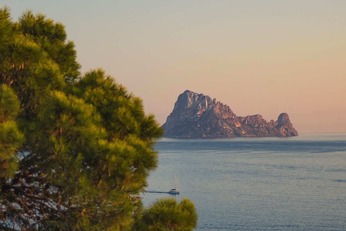 Sunset view of Es Vedra island with lush greenery in the foreground and tranquil sea