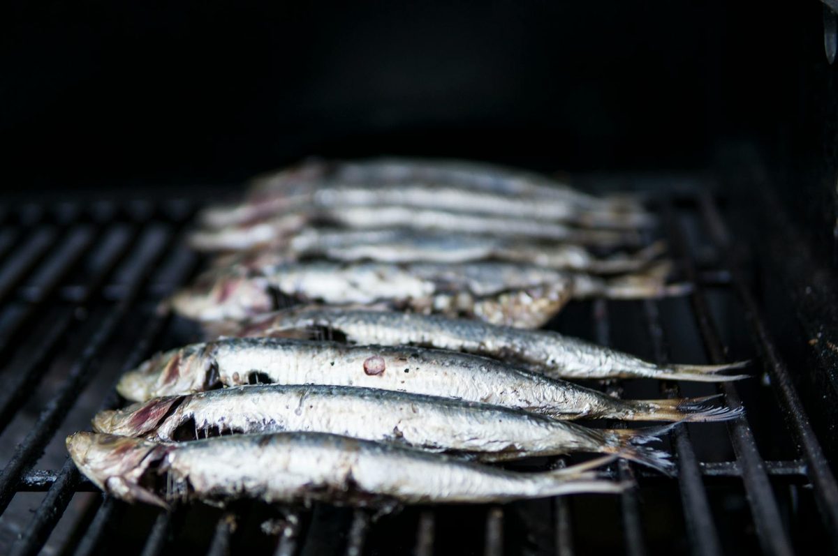 Sardines being grilled in the traditional espeto style over an open fire