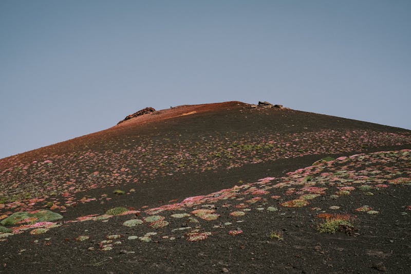 Red volcanic soil and scattered vegetation on Mount Etna in Sicily
