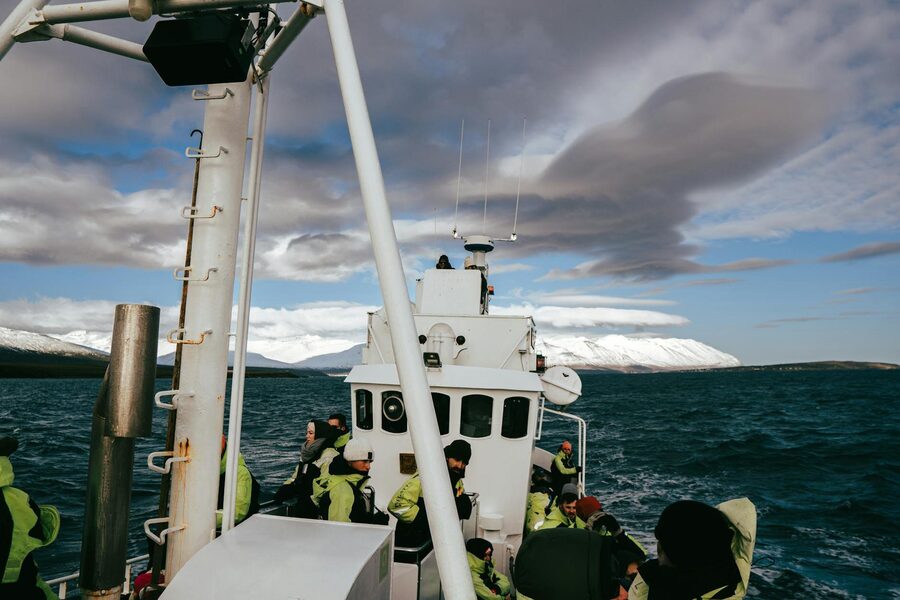 Explore the stunning Icelandic fjords during a whale watching tour from Árskógssandur, Dalvíkurbyggð
