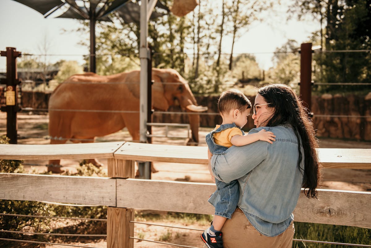 Family watching an African elephant at a zoo