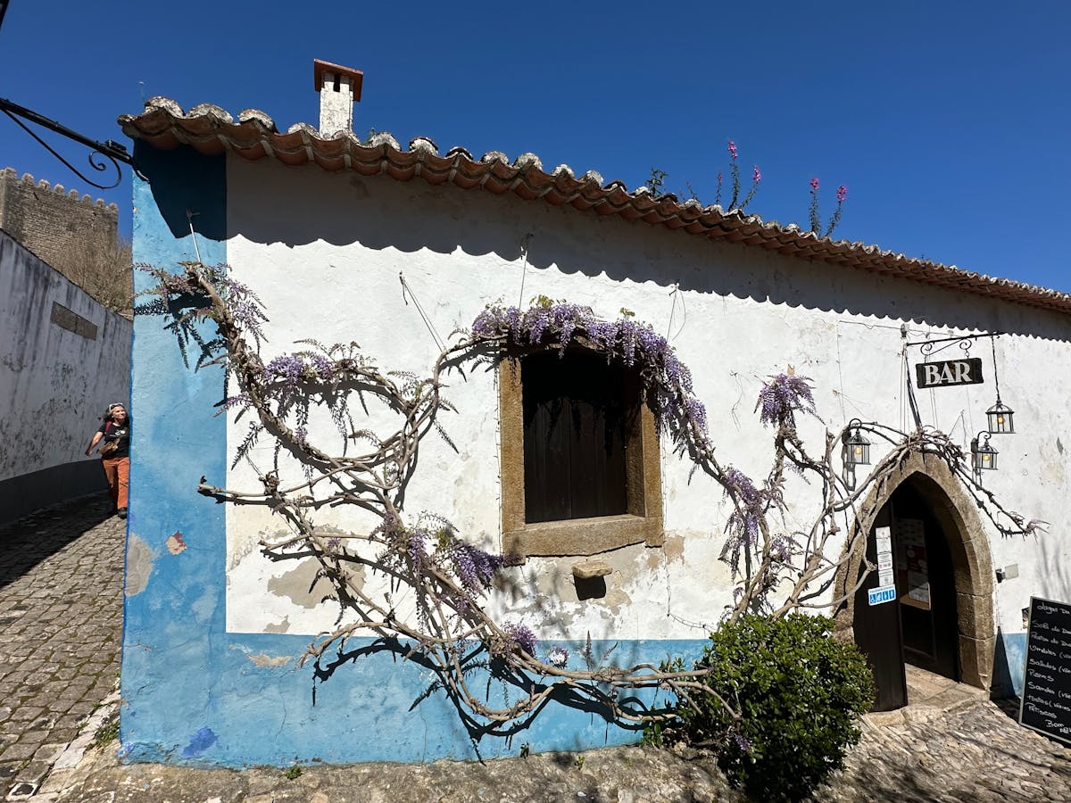 A charming bar with purple wisteria vines draping over the facade in Óbidos Portugal