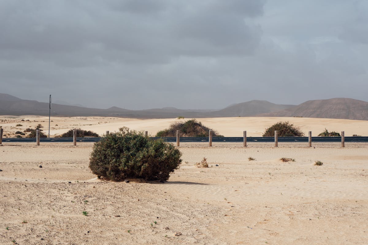 Vast arid desert landscape with volcanic terrain in Fuerteventura Canary Islands