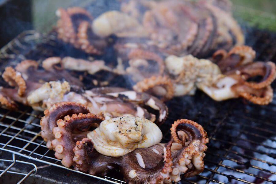 Grilled octopus tentacles on a barbecue grill