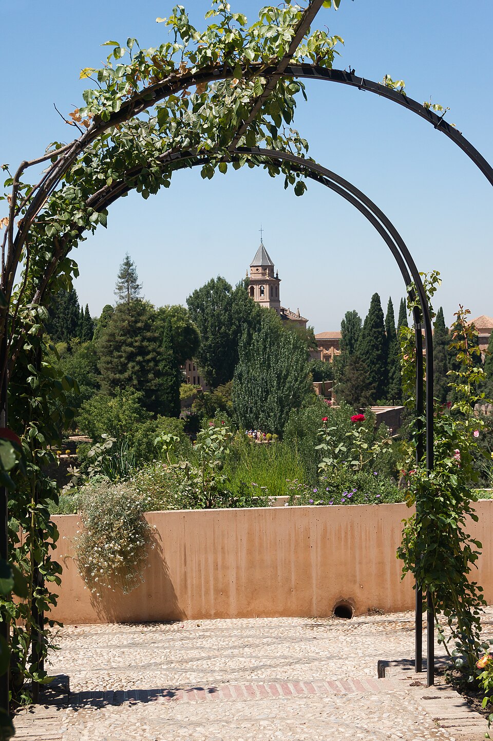 Rose-covered archway forming a tunnel in the Generalife gardens Granada