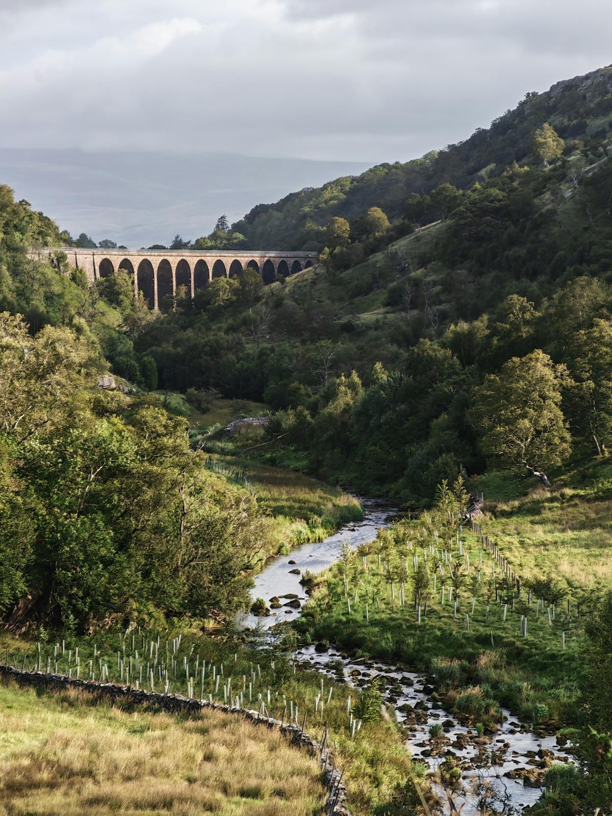 The Glenfinnan Viaduct framed by summer greenery and a flowing stream